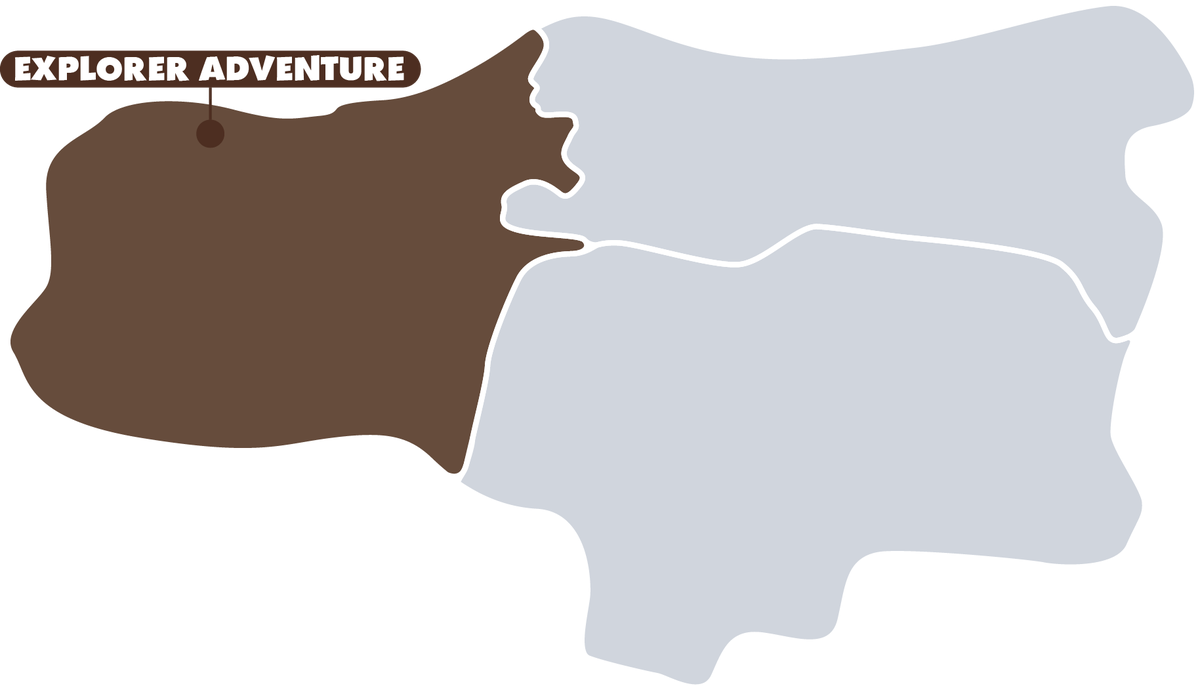 Generator - Manège à sensations fortes