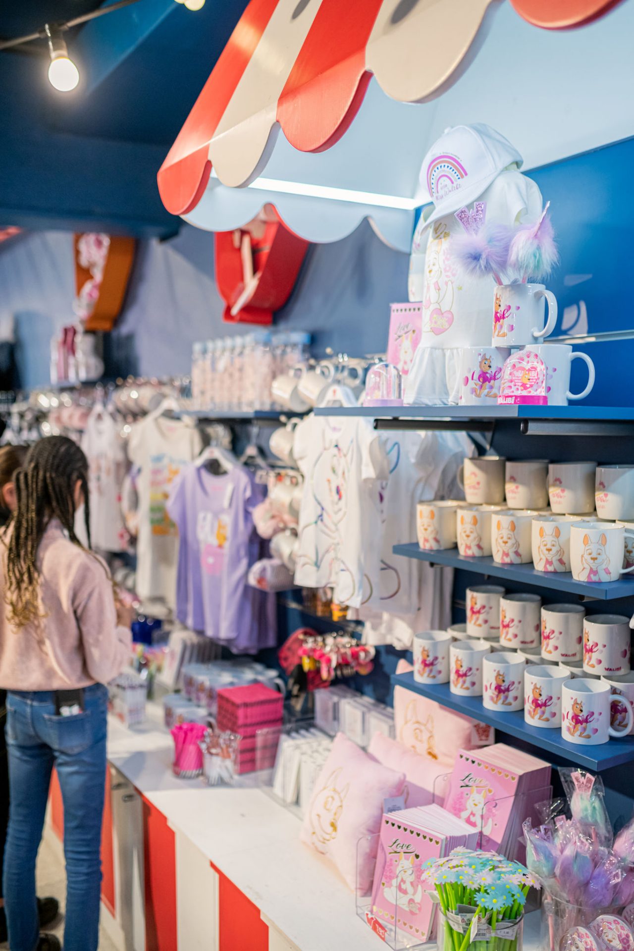 Boutique de l'entrée